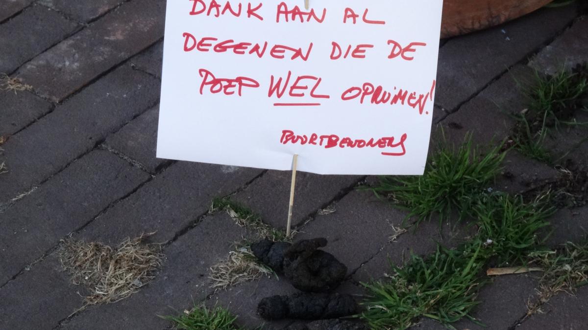 Want Amsterdam is poep op de stoep - AT5