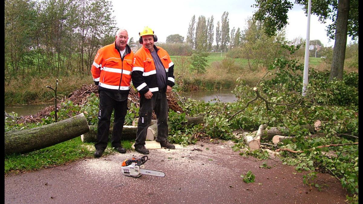 Een boom met zoveel wellust - AT5