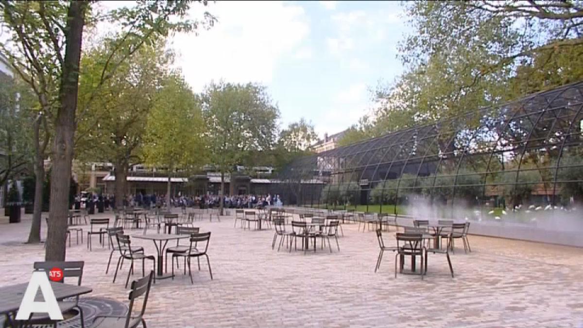 Artisplein nu open voor iedereen - AT5