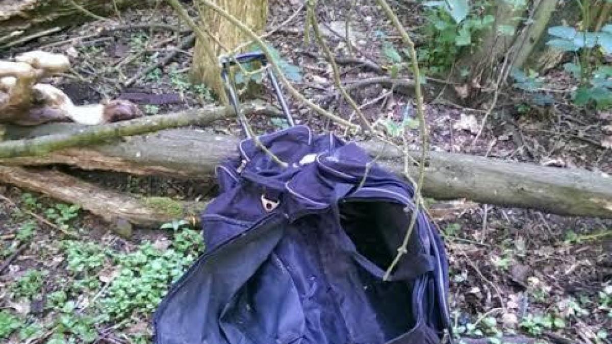 Schokkende foto's: Dode hond gedumpt in tas in Zuidoost - AT5