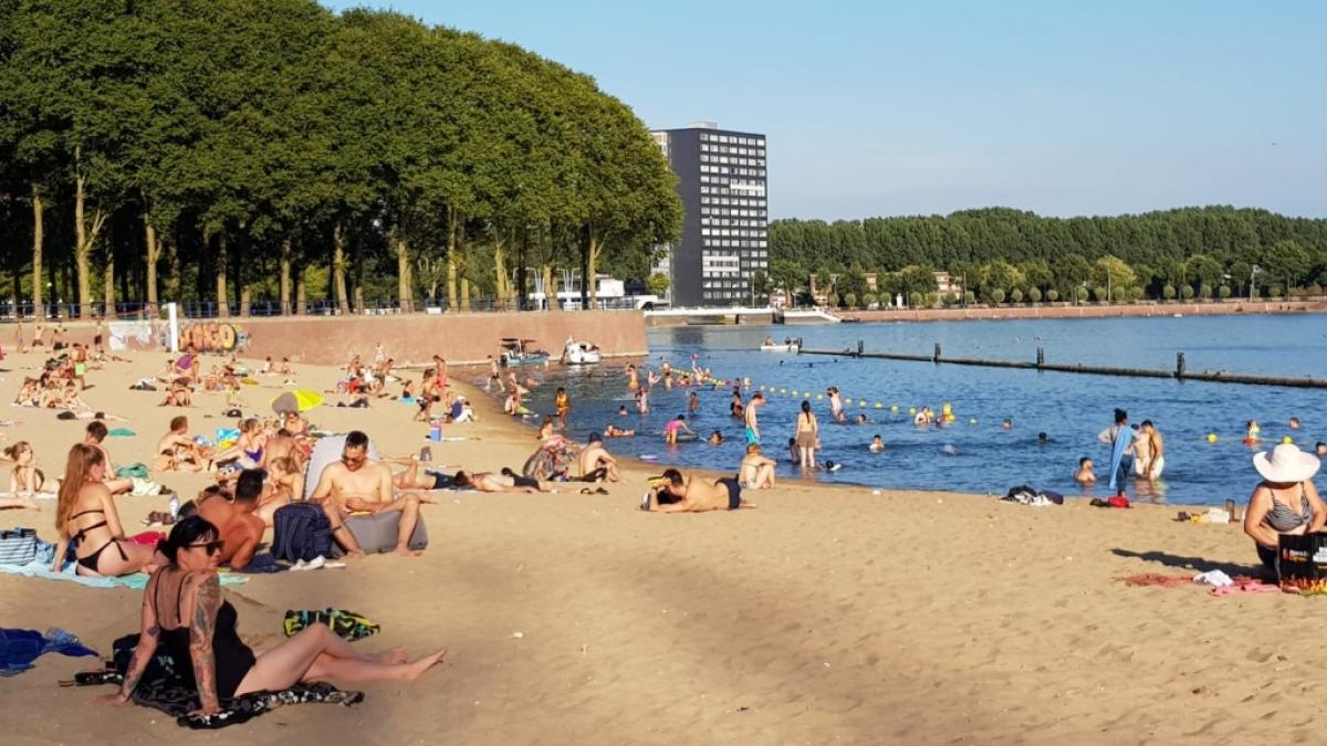 Te vaak poepbacterie: strand Sloterplas geen officiële zwemlocatie meer ...