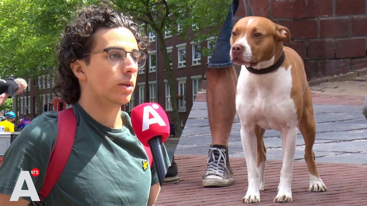 Brand KNSM-eiland ontwikkelde zich razendsnel: "Mijn moeder kon nog net ...