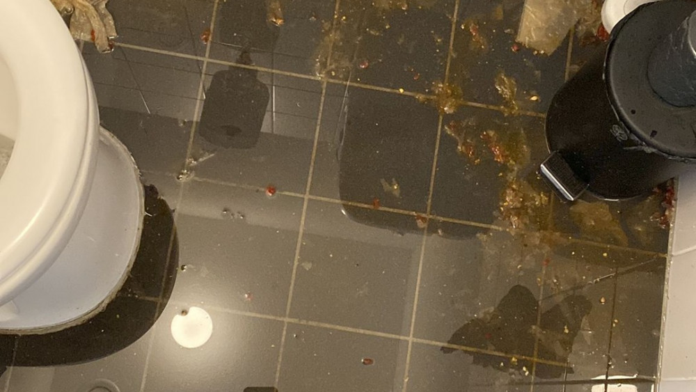 Rioolramp in nieuwbouwcomplex: poep stroomt uit wc en doucheputje - AT5