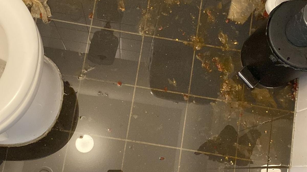 Rioolramp in nieuwbouwcomplex: poep stroomt uit wc en doucheputje - AT5