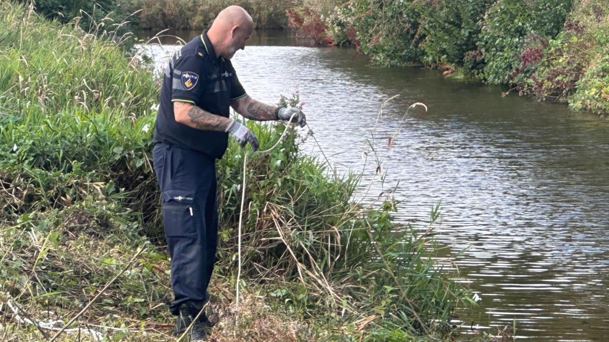 Politie doet opnieuw onderzoek bij plek waar Lisa om het leven werd gebracht - AT5
