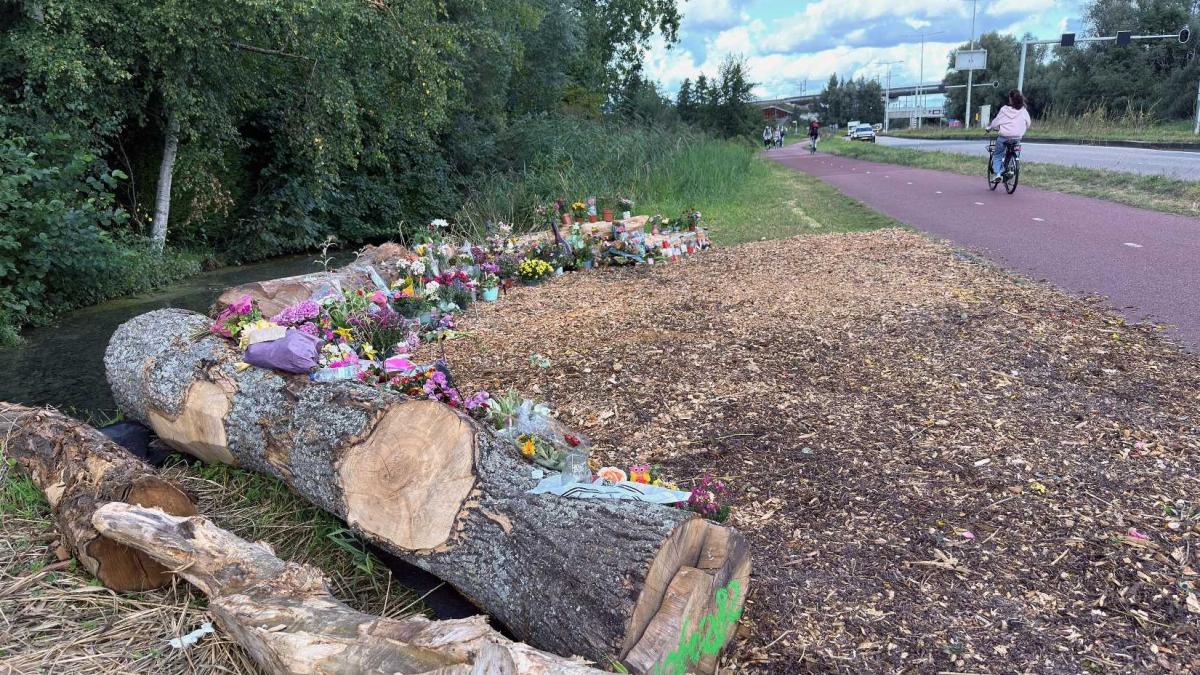 Permanent hart van bloemen op plek waar 17-jarige Lisa werd omgebracht - AT5