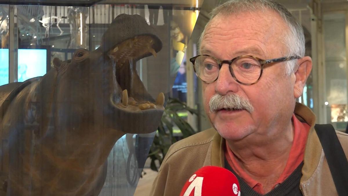 Een halve eeuw was ze de lieveling van elke bezoeker, nu is Tanja terug ...